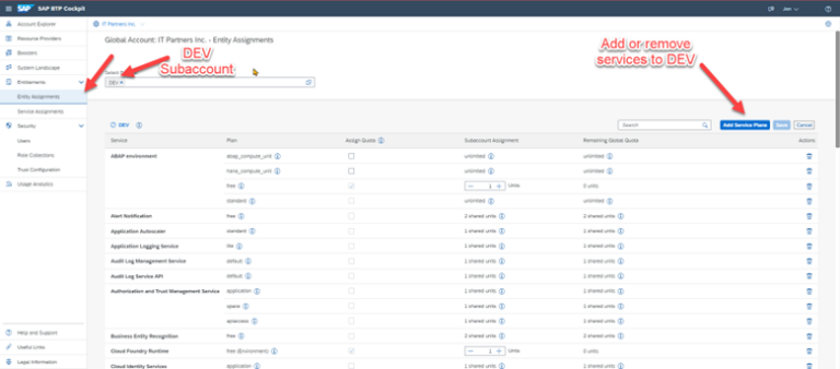 Navigating the SAP Business Technology Platform - ITPFED